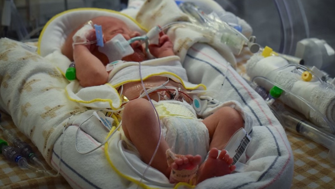 Fundraiser for Kayla Cardwell by Brooke Hagen : Support the Cardwell’s ...