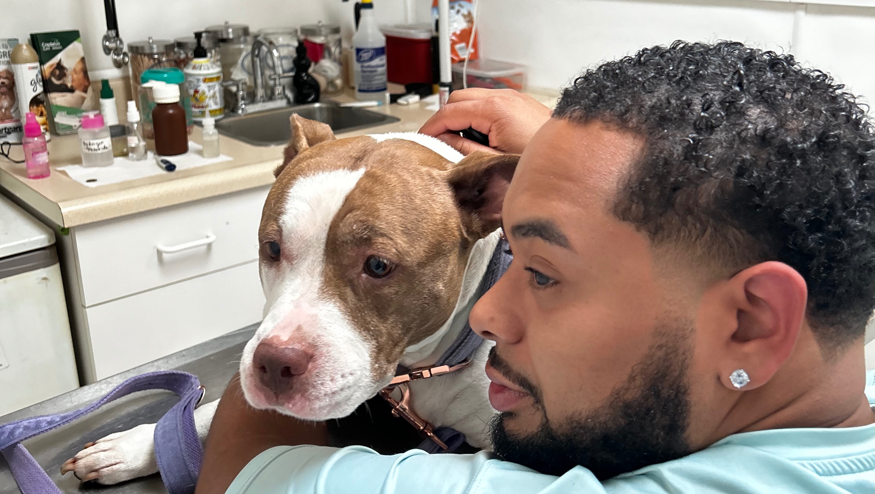 Fundraiser by Xavier Garcia : Help Lola Recover from Emergency Surgery