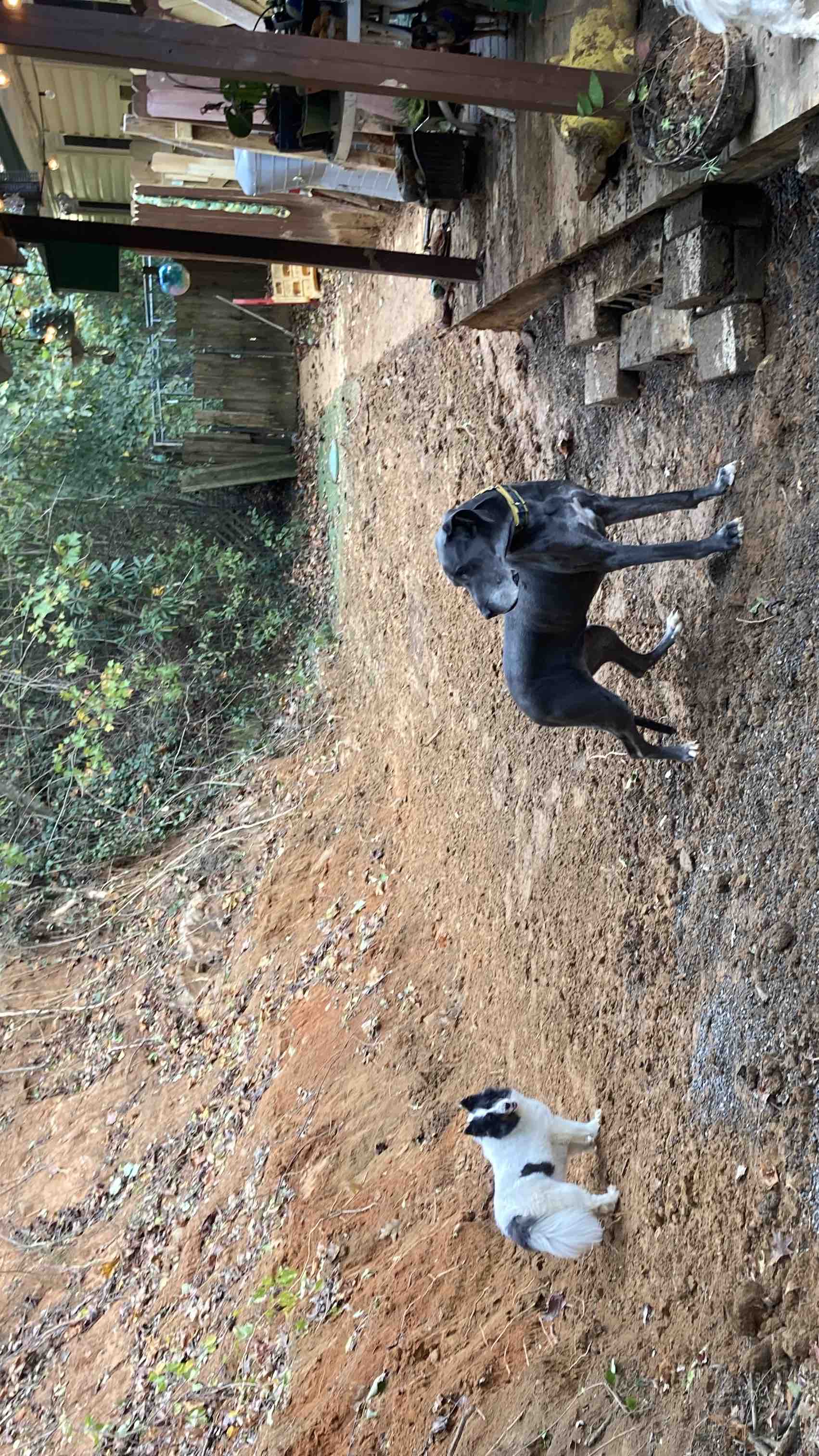 Fundraiser for Sarah Noland by Danelle Hansen : Help Sarah Noland Save ...