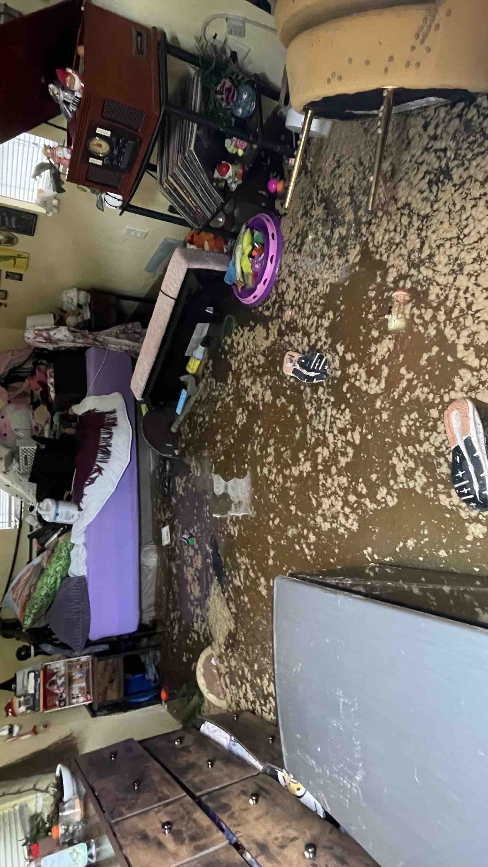 Fundraiser by Kayla Andrasco : Help Kayla Rebuild After Hurricane Milton