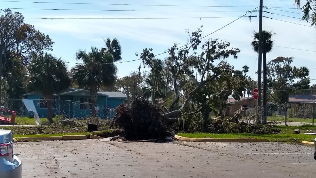 Fundraiser by Farida Ibrahim : Help Restore ZamZam Academy for Our Students