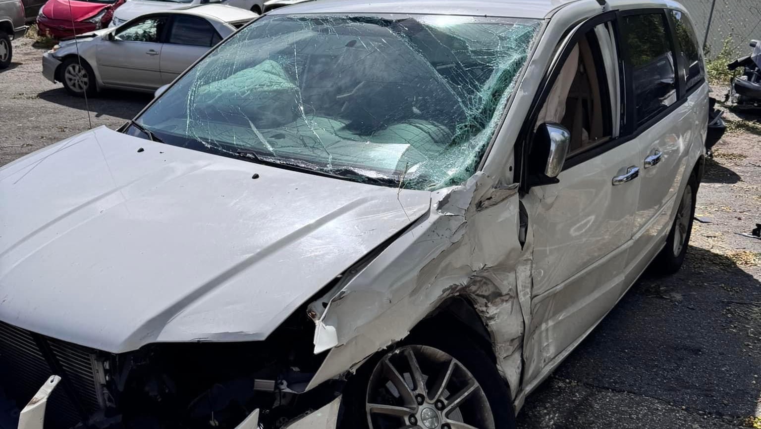 Fundraiser for Alexis Kuchle by Ivana Neff : Support Alexis and her ...