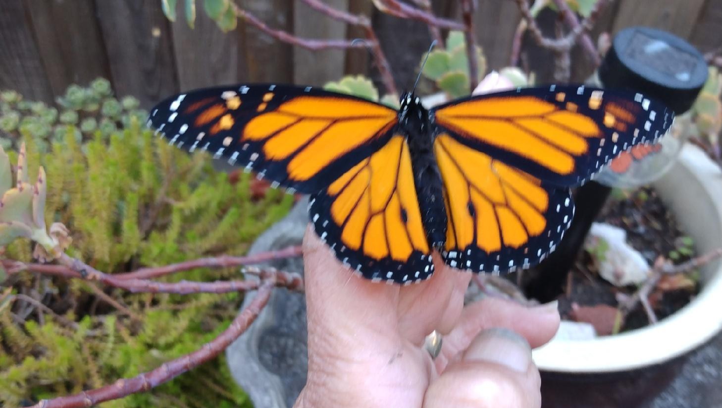 Fundraiser by Elizabeth Gill : Help Elizabeth Secure Stable Housing