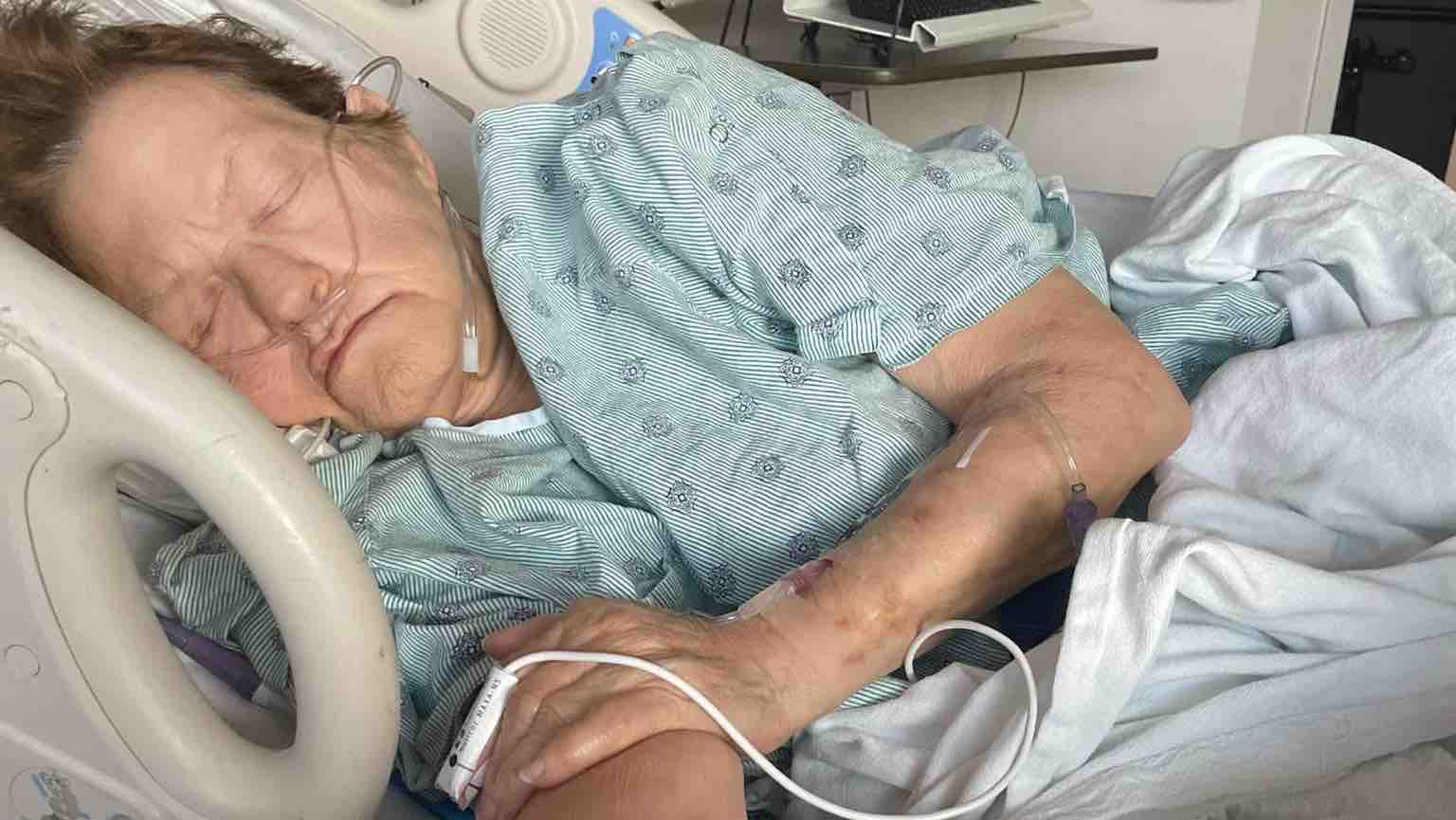 Fundraiser by Clayton Quisenberry : Help Maymie Get After Surgery ...