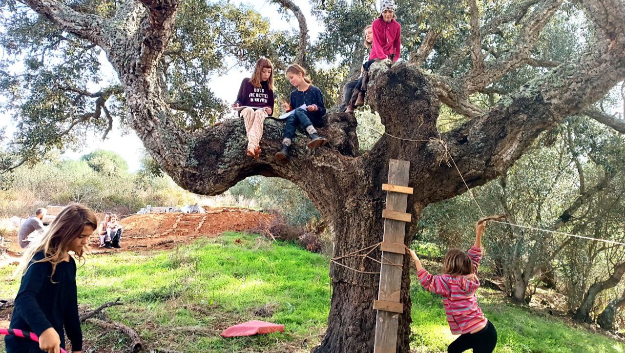 Fundraiser for Wild Roots by Fleur Beuting : Let's grow conscious roots ...