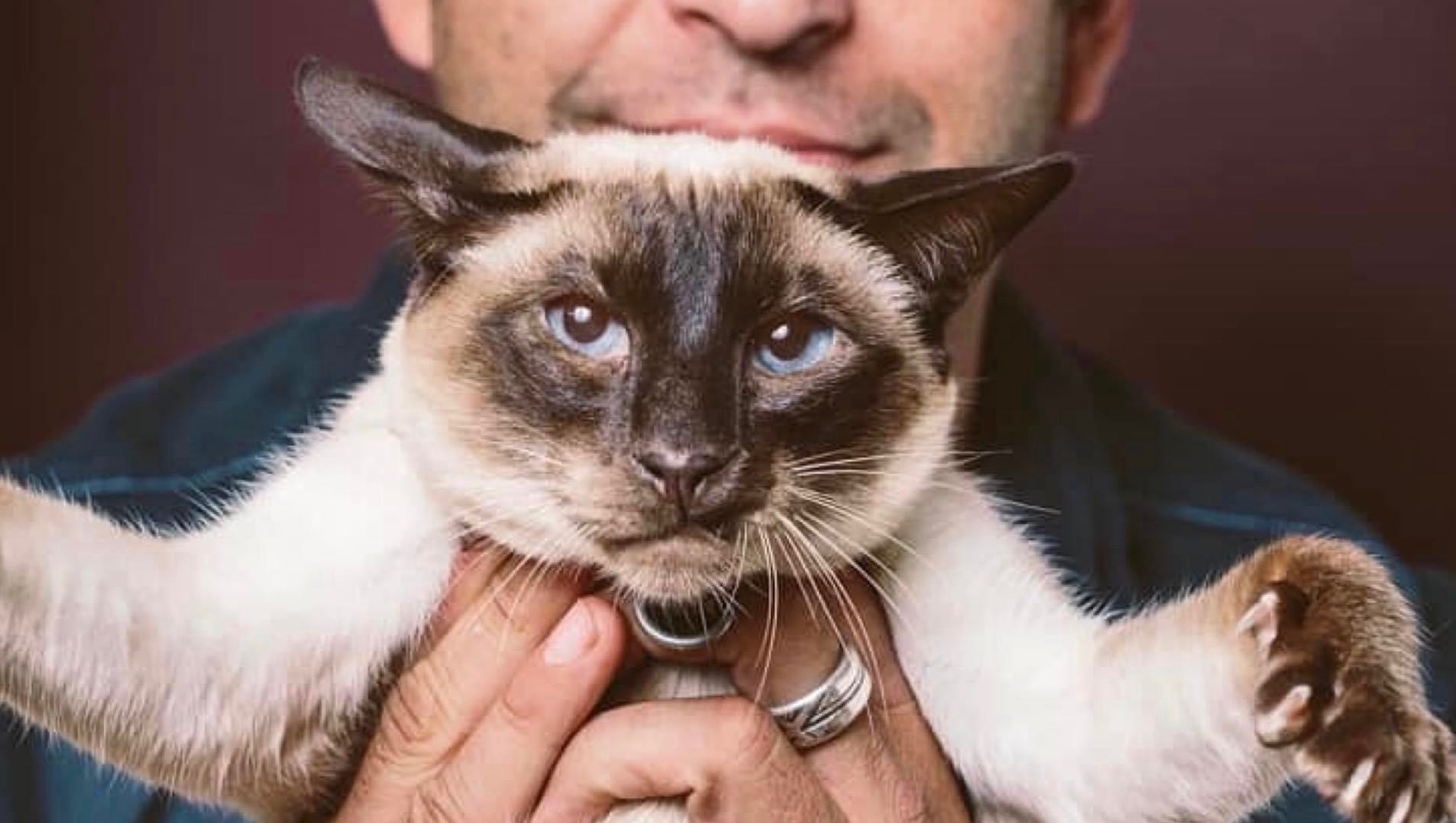 Fundraiser for Philip Bloom by Michael Harris : Please help Phillip ...