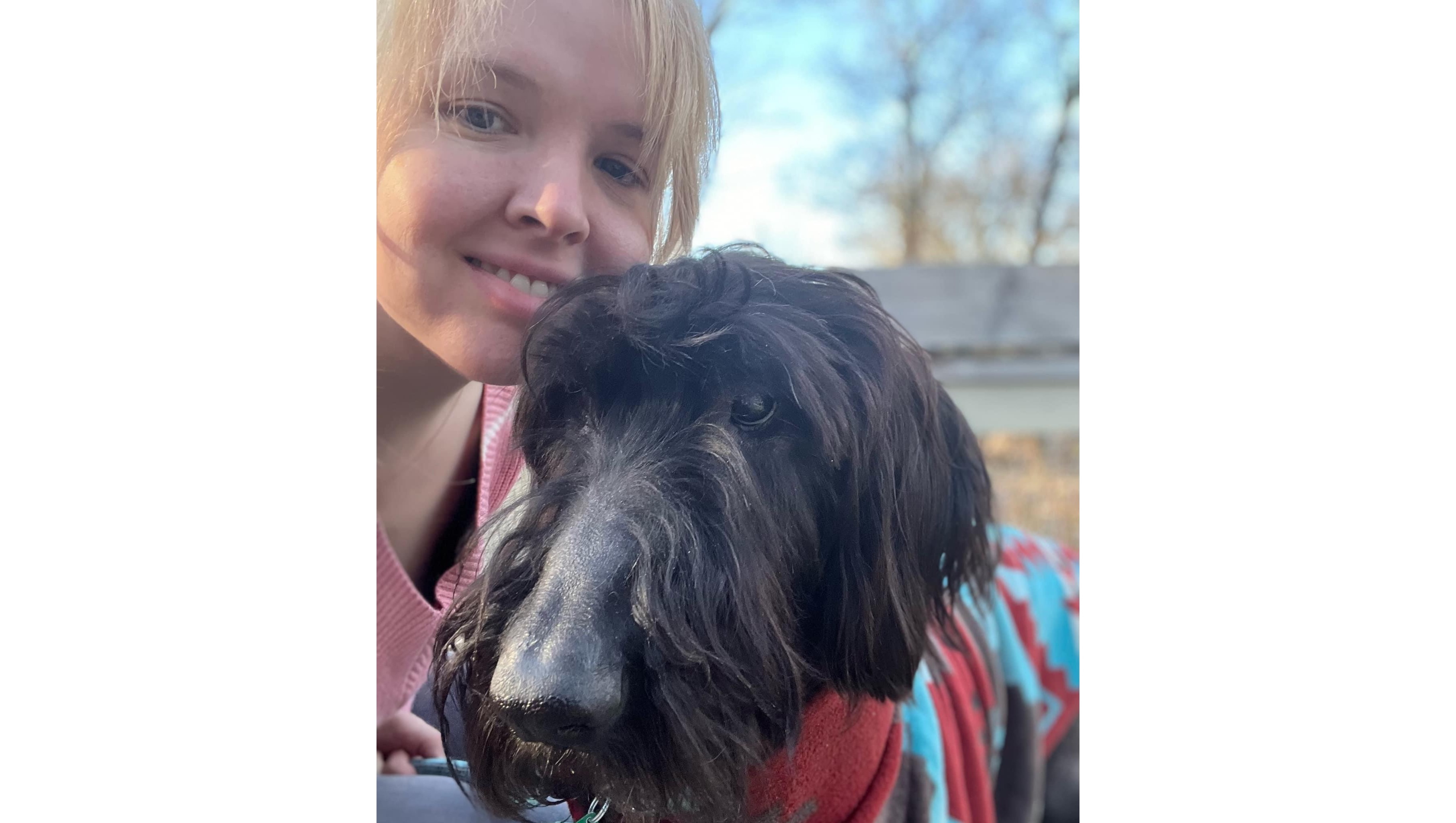 Fundraiser by Kimberly Lofgren : Help Save Comet: Emergency Surgery