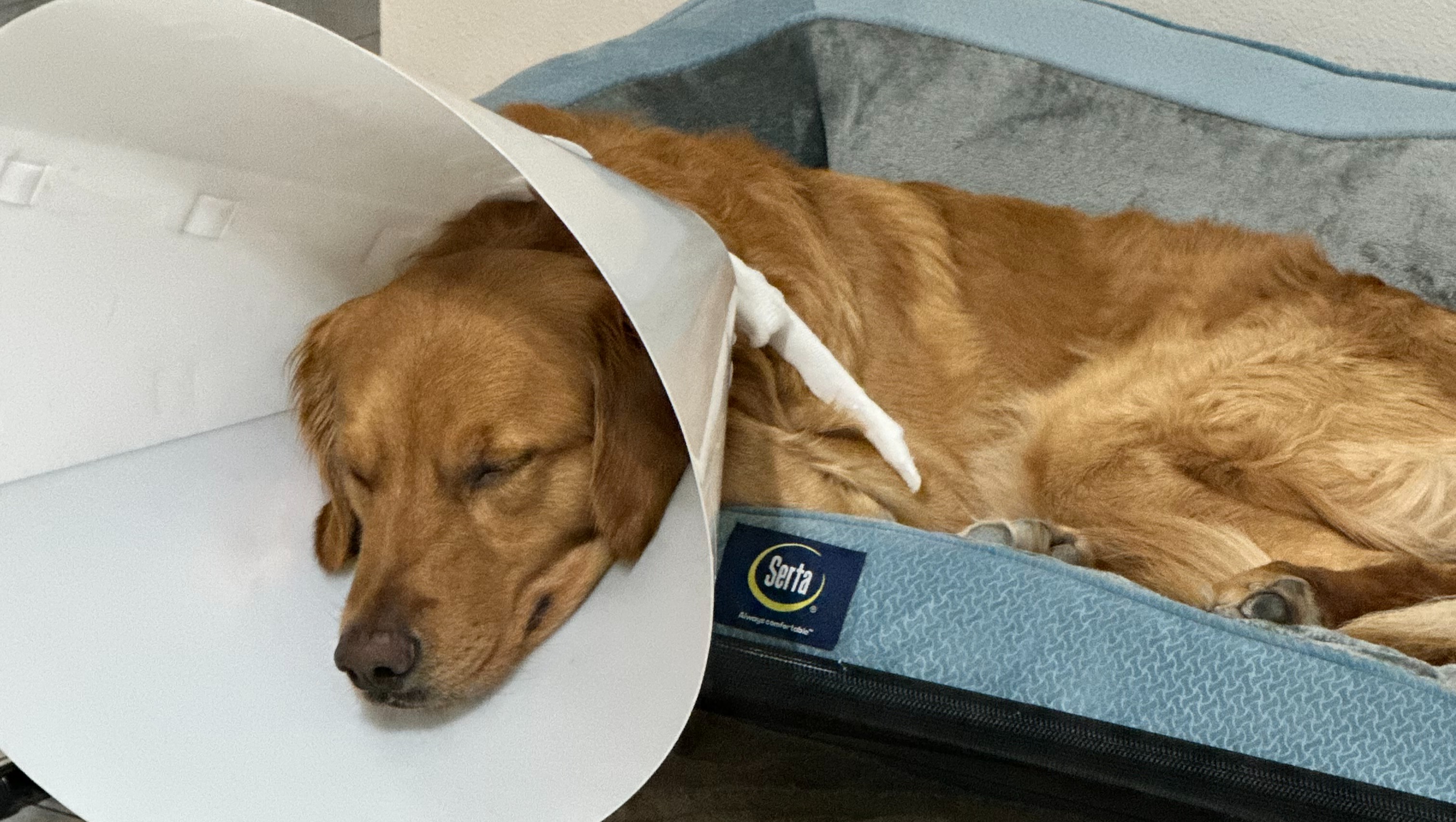 Fundraiser by Christopher Putnam : Help Marshall Lucas Putnam Get ...