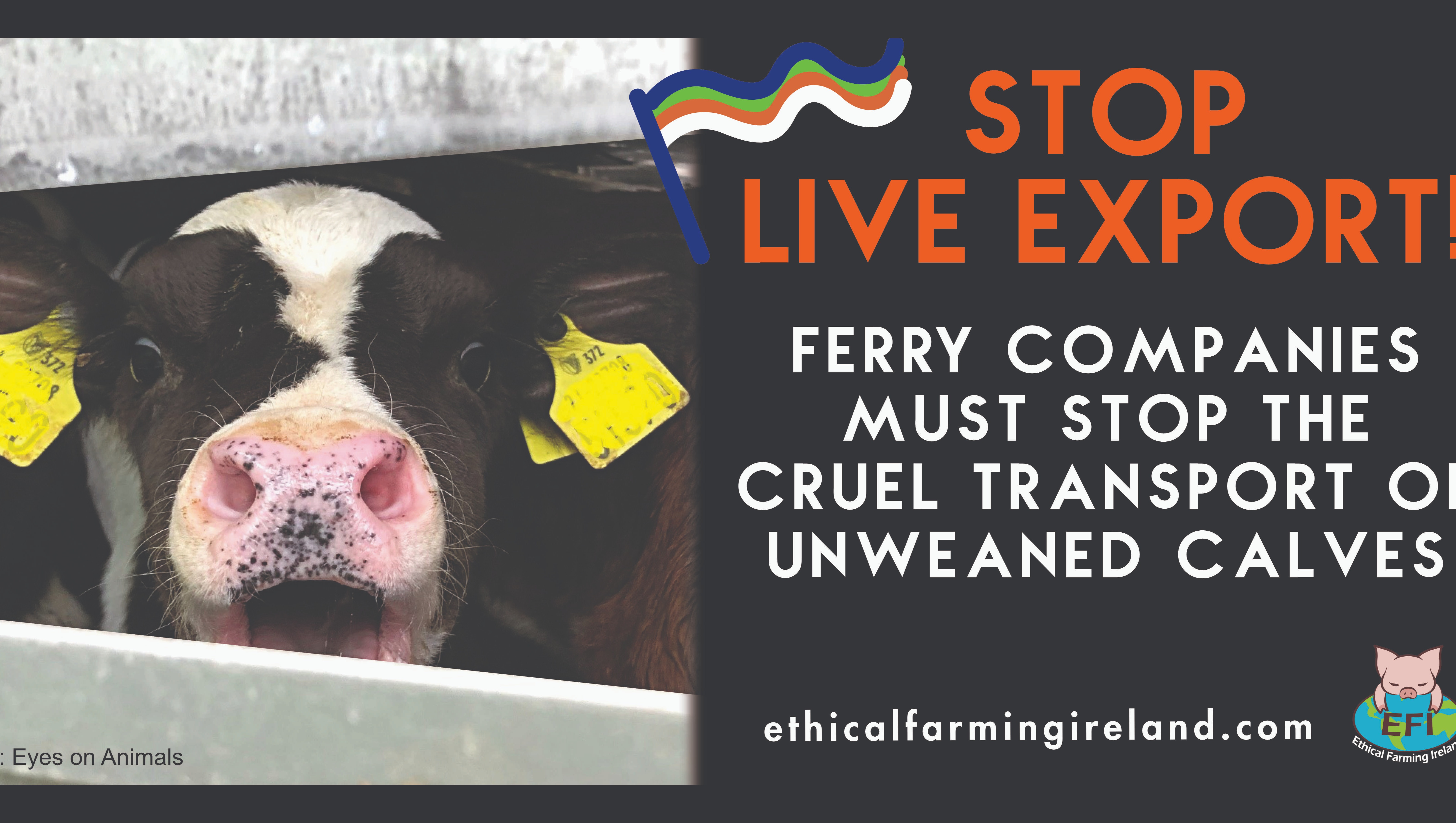 Fundraiser by Ethical Farming Ireland : Live export billboard campaign