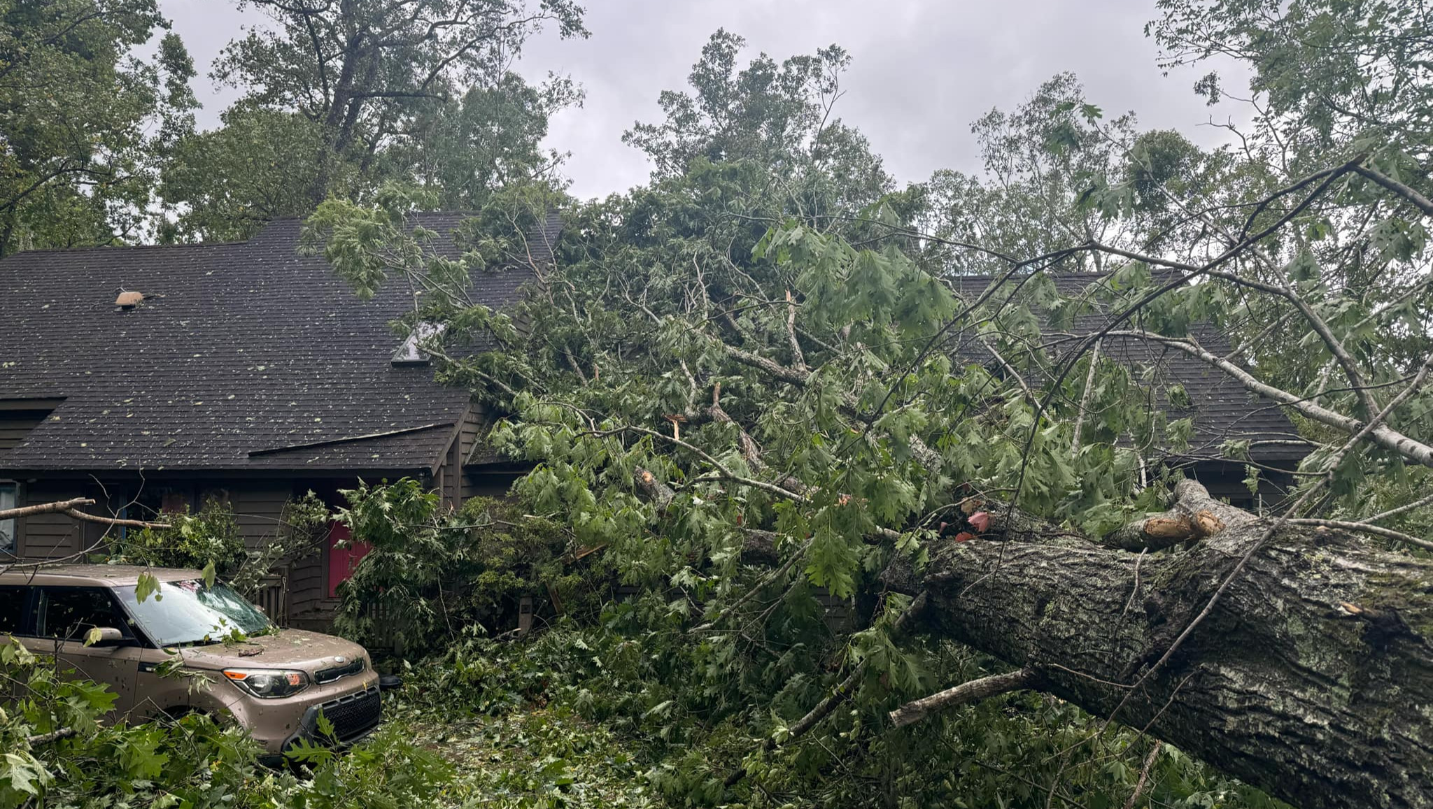 Fundraiser for June Gregory by Joseph Schuster : Help June Rebuild ...