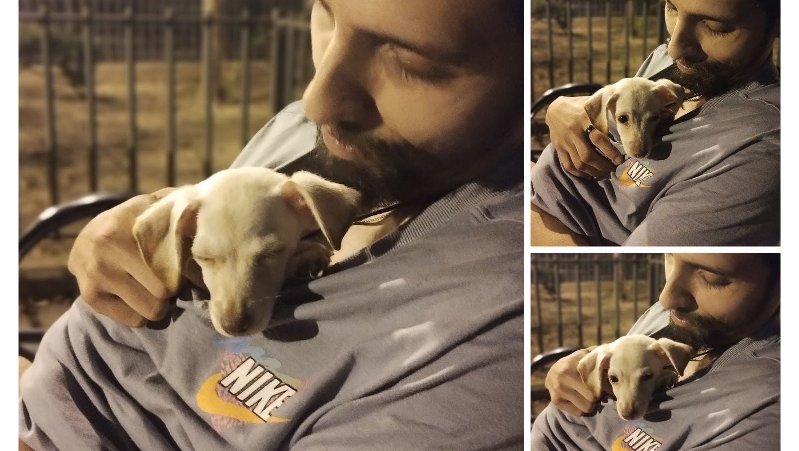 Fundraiser by Kyoko Lee : Urgent Surgery for Lou's Puppy Enzo