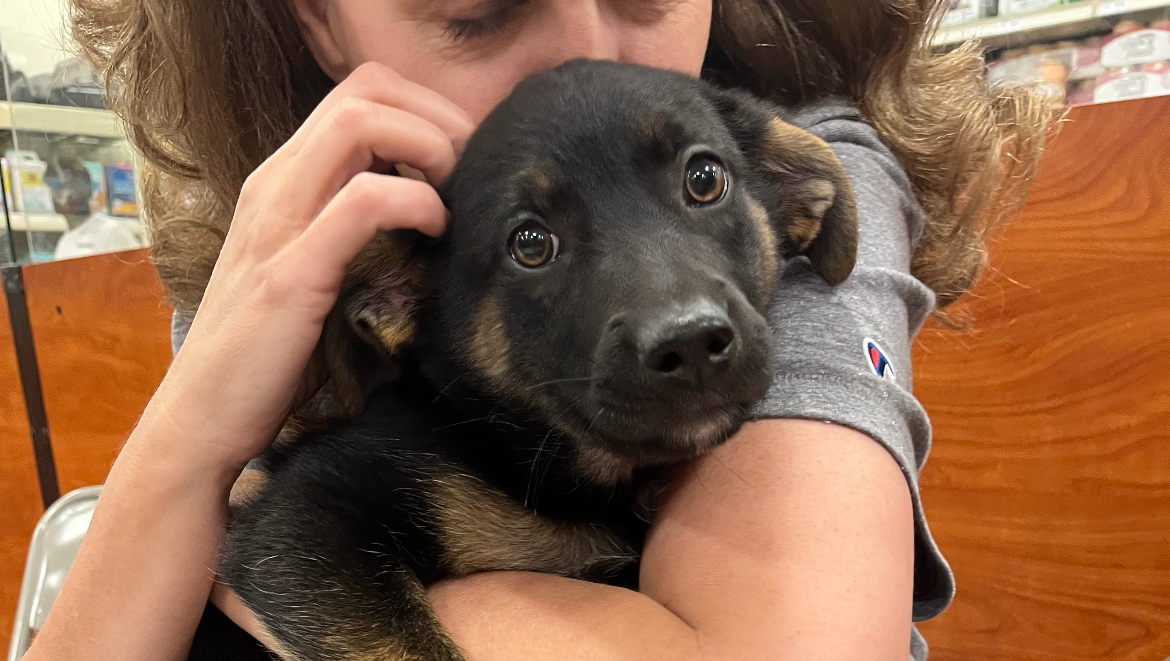 Fundraiser for Michael Schicker by Michael Schicker : Support Harper's ...