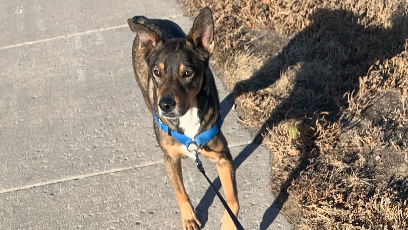 Fundraiser by Keith Reeves : Help Mr. Watson Continue His Fight