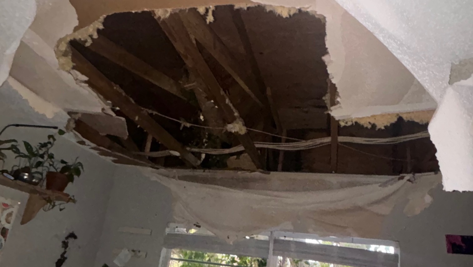 Fundraiser for Alissa Gordon by Brenda Louwagie : Support Alissa and ...