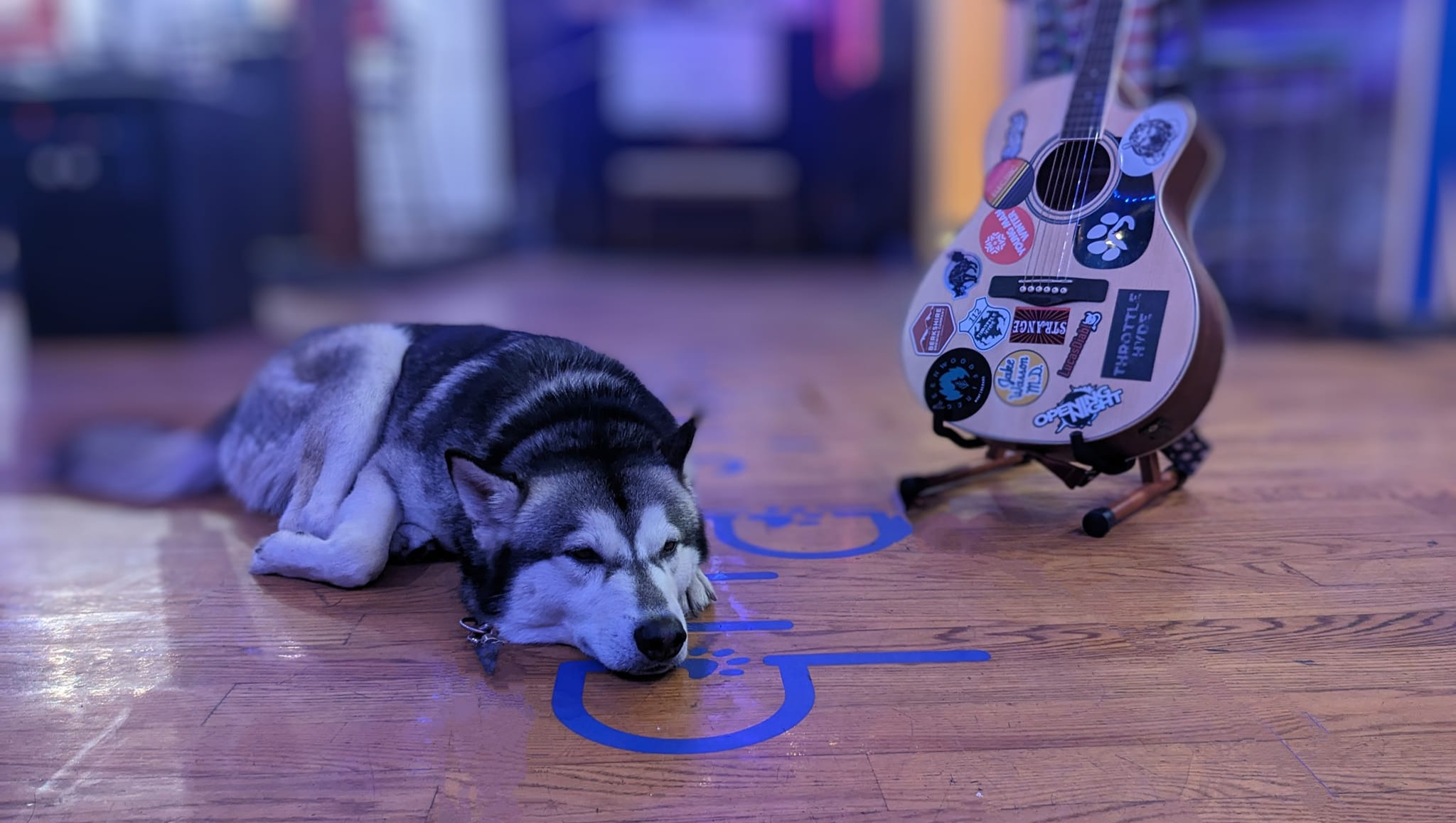 Fundraiser by Liz Purdy : Help Husky's Pub Stay Open for Good Times