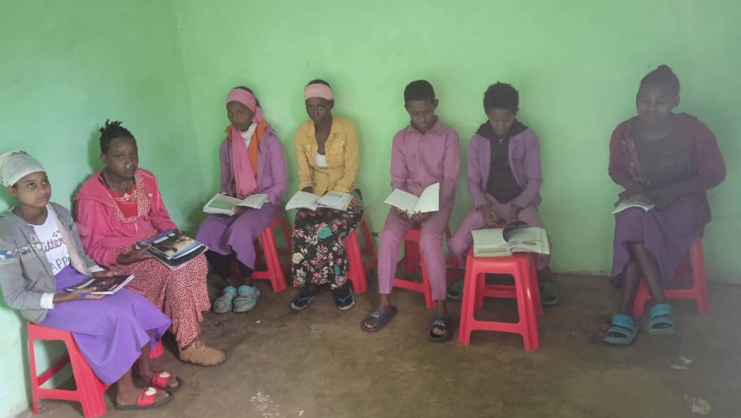 Fundraiser by Abeba Attles : Help Abeba Create a Vibrant Library for Kids