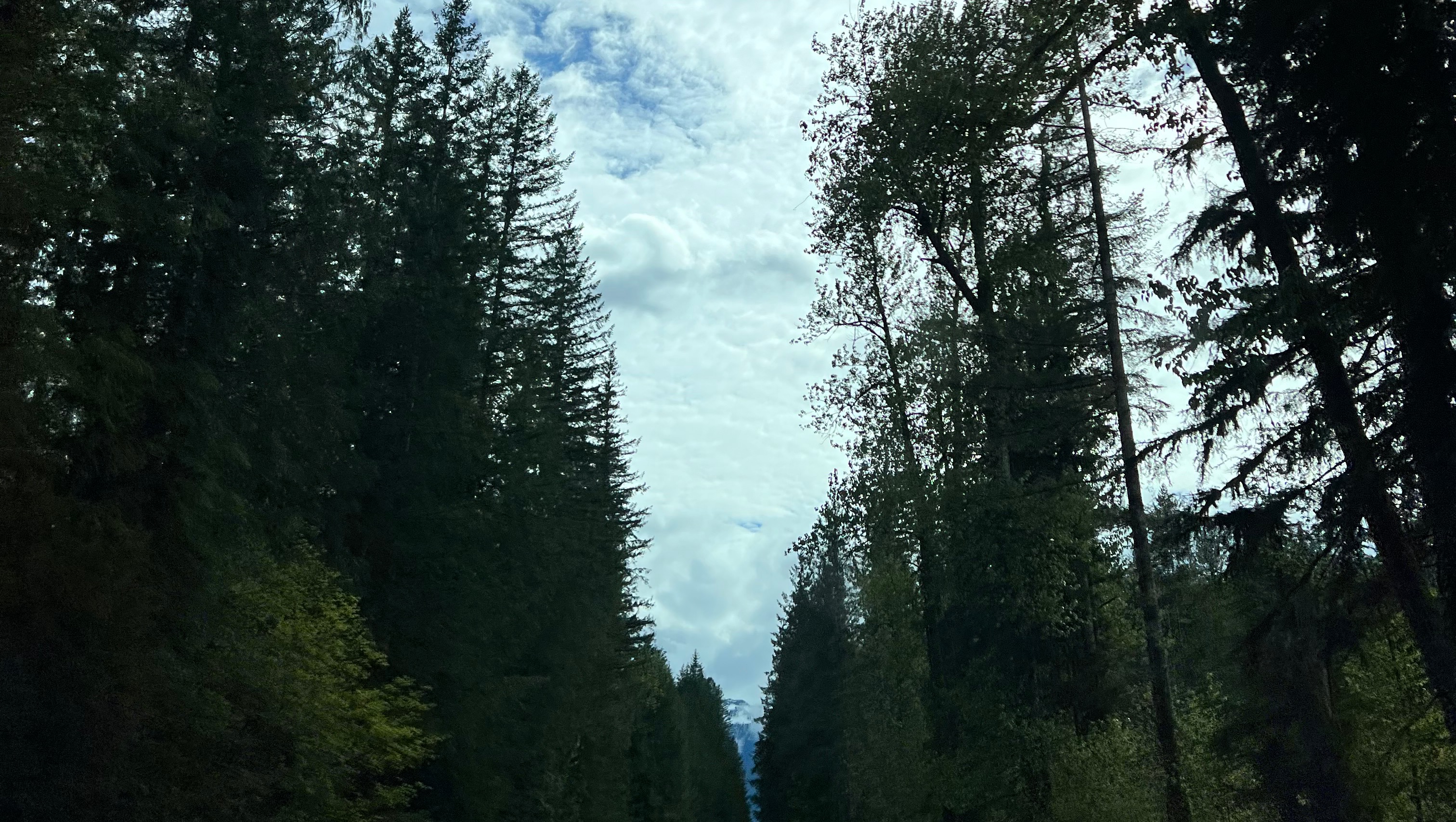 Fundraiser for Amber McLean by Emma Scarbrough : Support Emma's ...