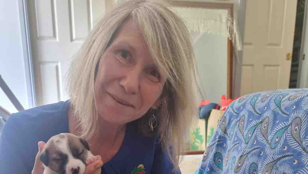 Fundraiser for Rachel Formosa by Brittany Formosa : Help support my mum ...