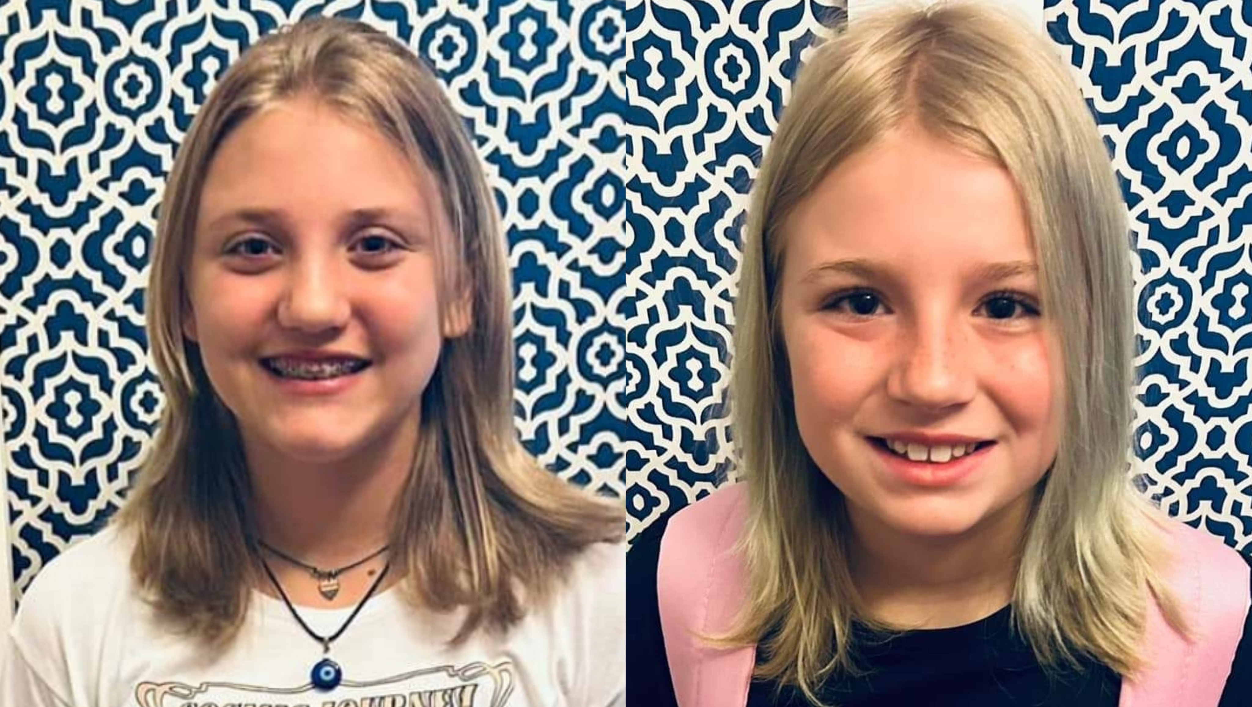 Fundraiser for Audrey Payne by Emily Clay : Protect Alice and Linux ...