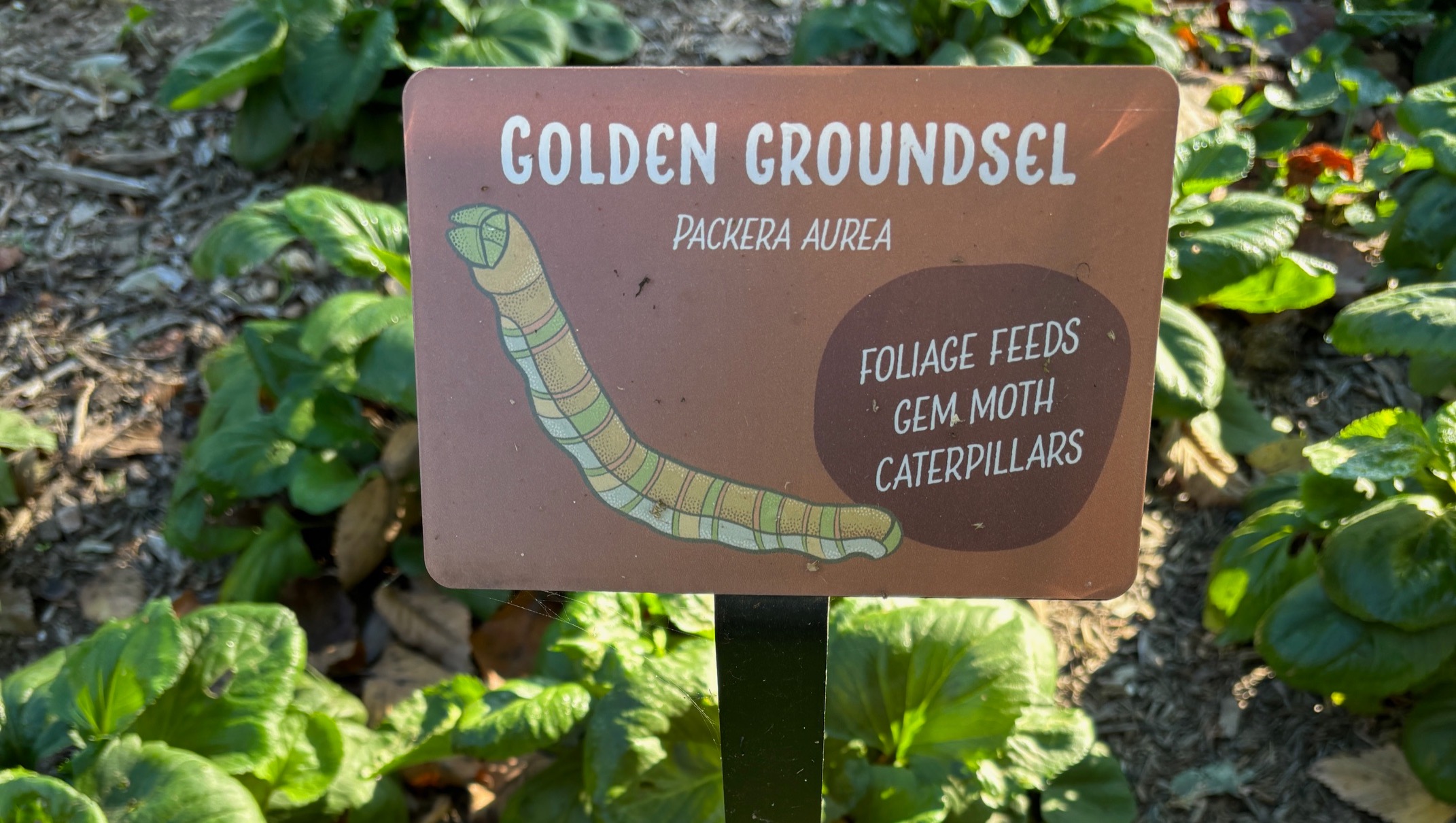 Fundraiser by Kathy Shollenberger : Expand Our Native Plant Label Library