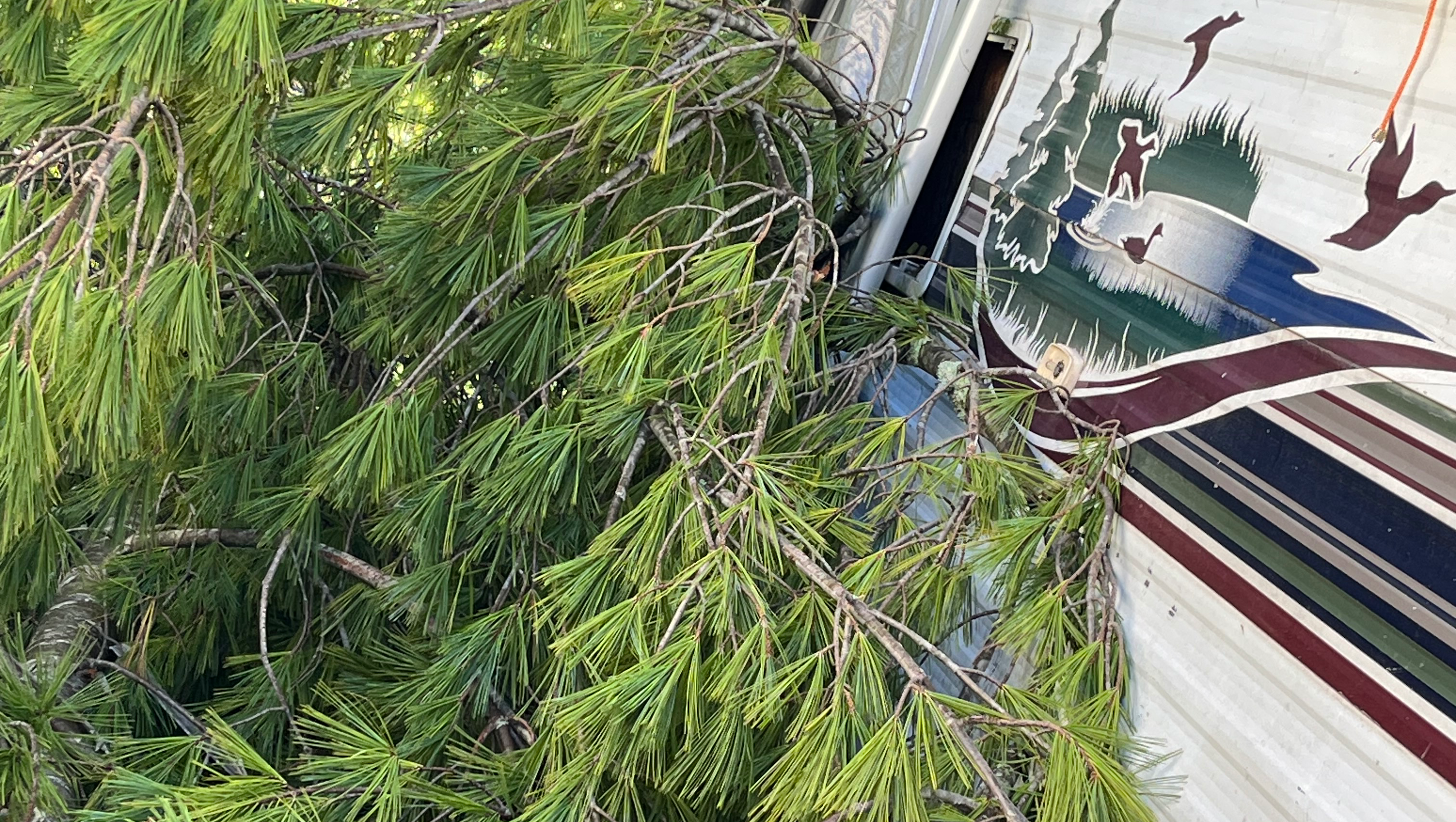 Fundraiser by Austin Mcclain : Support Austin's Family: Recovering from ...