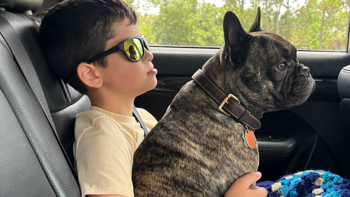 Fundraiser by Jennifer Sweeney : Save Onyx: Fund His MRI and Surgery