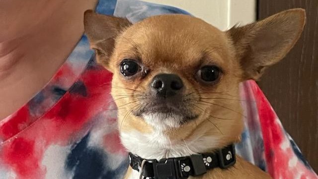 Fundraiser by Adrian Rea : Support Cooper and Angela in their battle ...