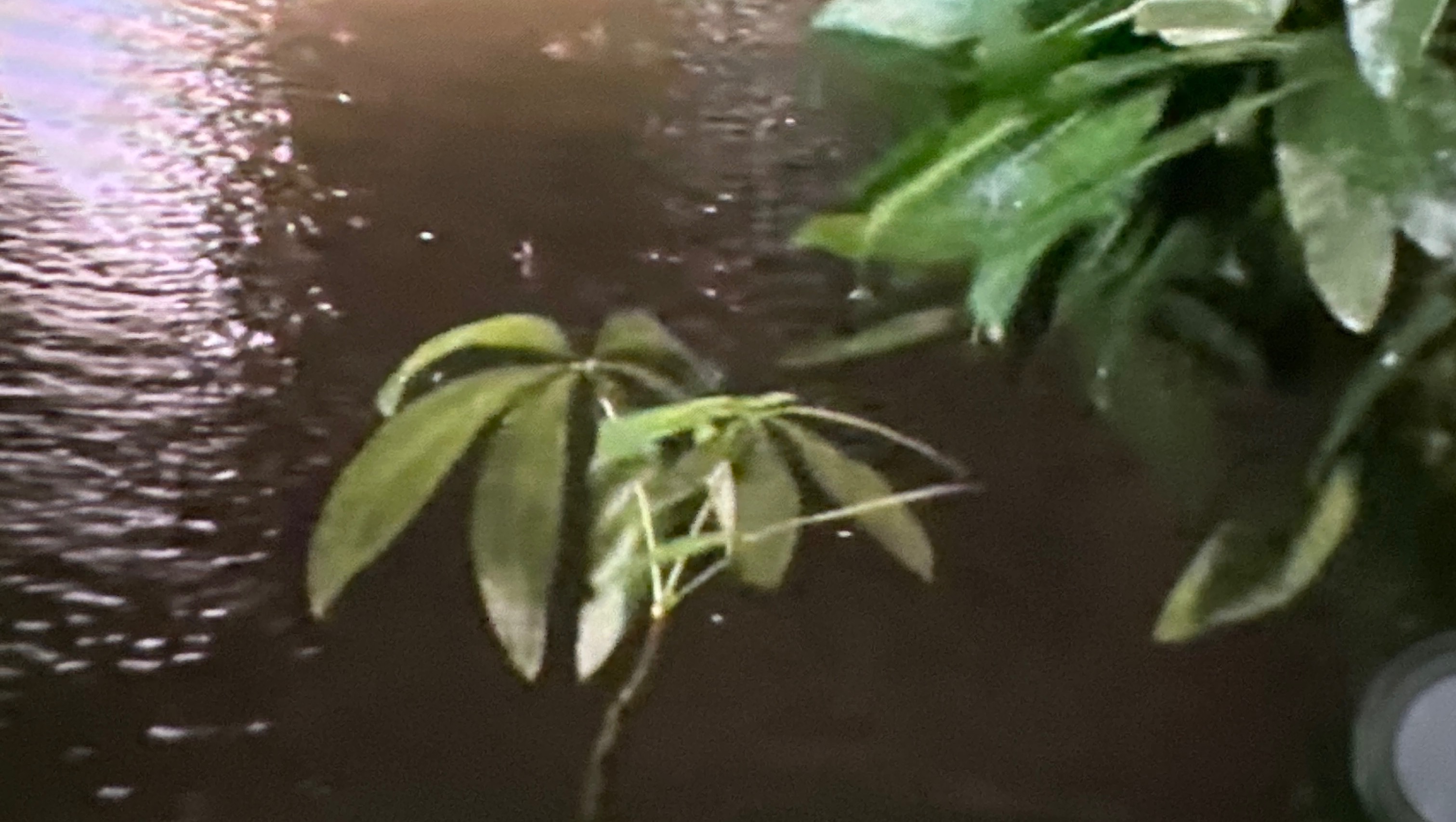 Fundraiser by Marissa Velarde : For Flood relief for the Town of ...