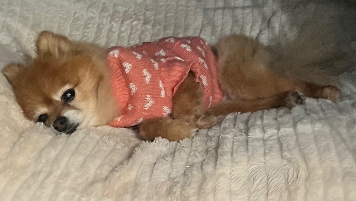 Fundraiser by Megan Dearth : Help Leah Fight Chronic Kidney Disease