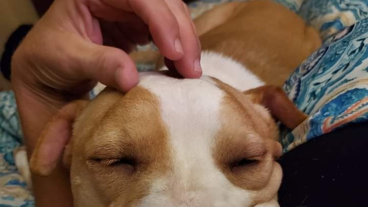 Fundraiser for Tammy Randel by Heather Wade : Please help us get our ...