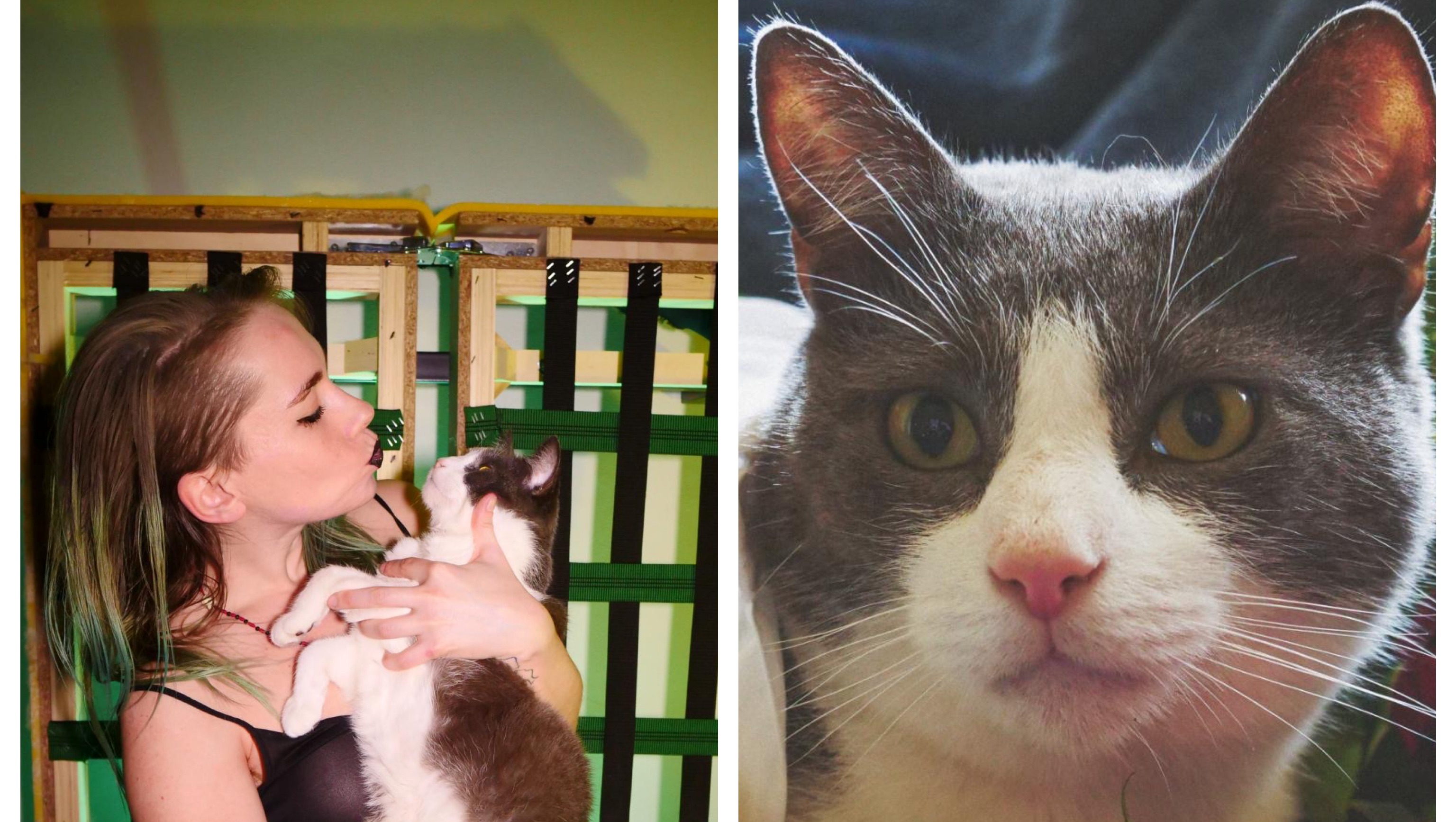 Fundraiser for Lore Blumenthal by lore-elisabeth Blumenthal : Chalceus ...