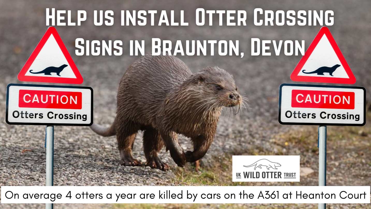 Fundraiser by Uk wild otter trust : Help UKWOT install Otter Crossing ...