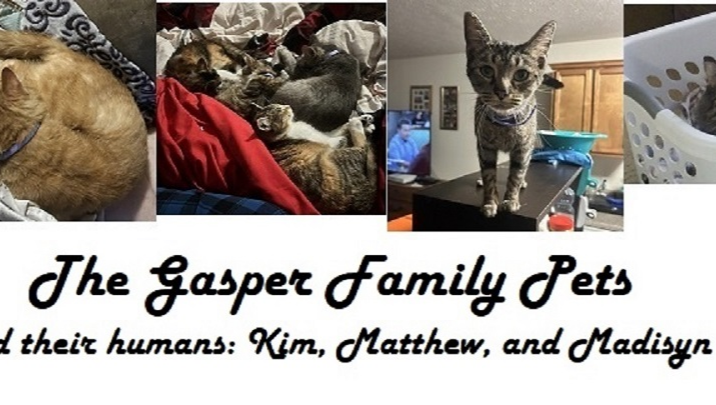 Fundraiser by Kimberlee Gasper : Help the Gaspers in Their Fight Against Fleas