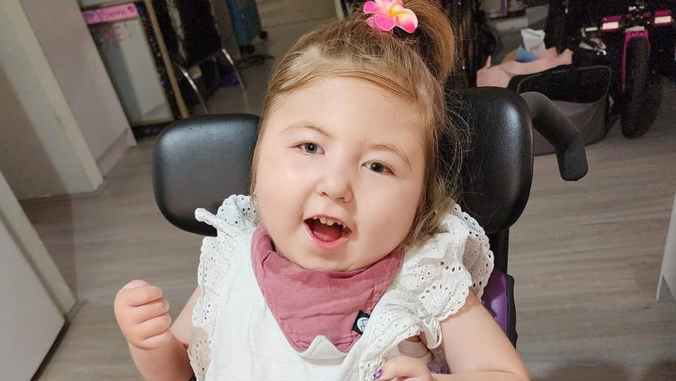 Fundraiser for Cassandra Gordon by Helen Veall : Support Sweet Sienna:A ...