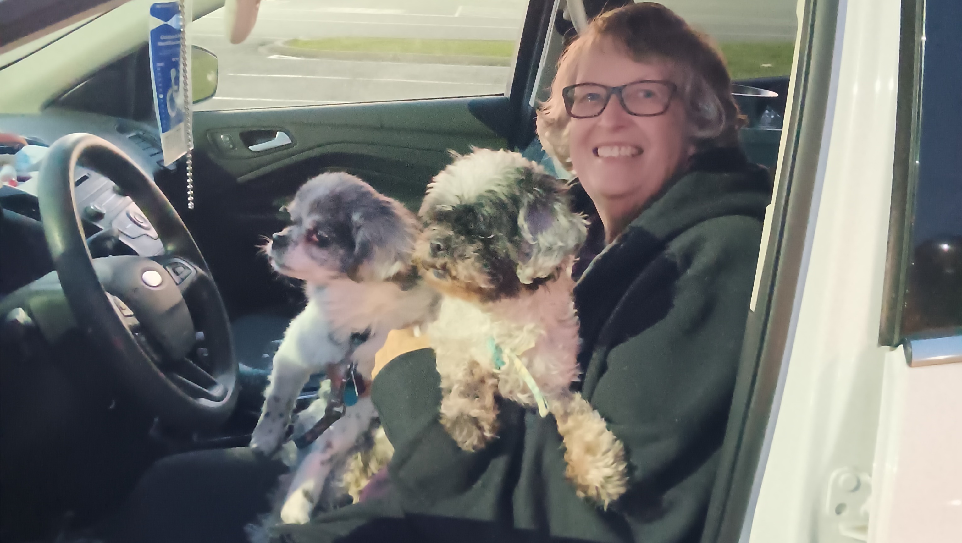 Fundraiser by Michelle Bollinger : Help Linda and Her Dogs Find a Safe Home