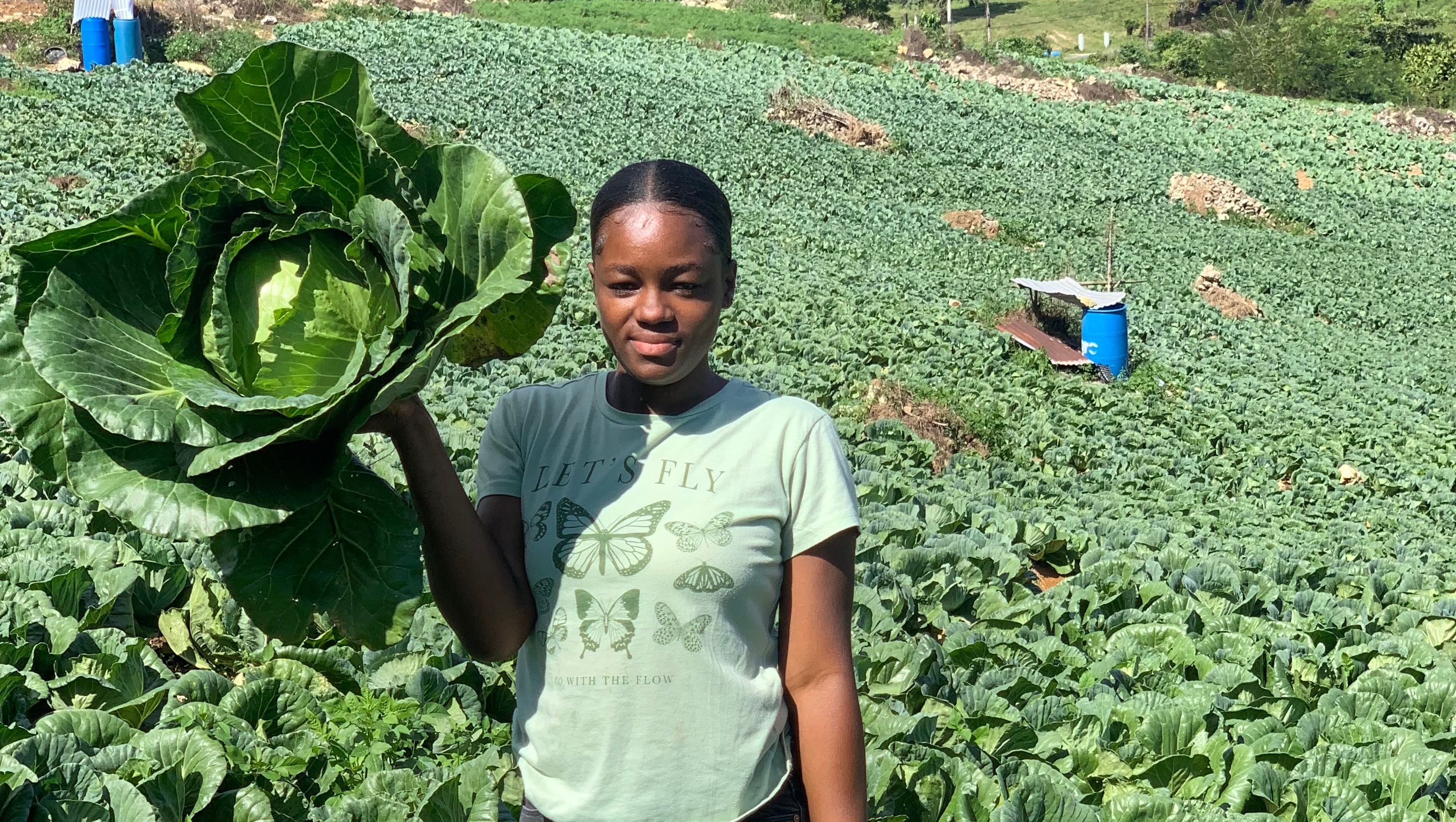 Fundraiser for Miguel Jean-Pierre by Sherka Braham : Please help Farmer ...