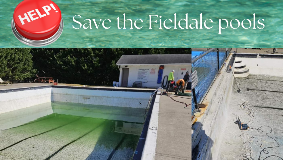 Fundraiser by Sherry Quinley : Help Revitalize Fieldale's Historic Pools