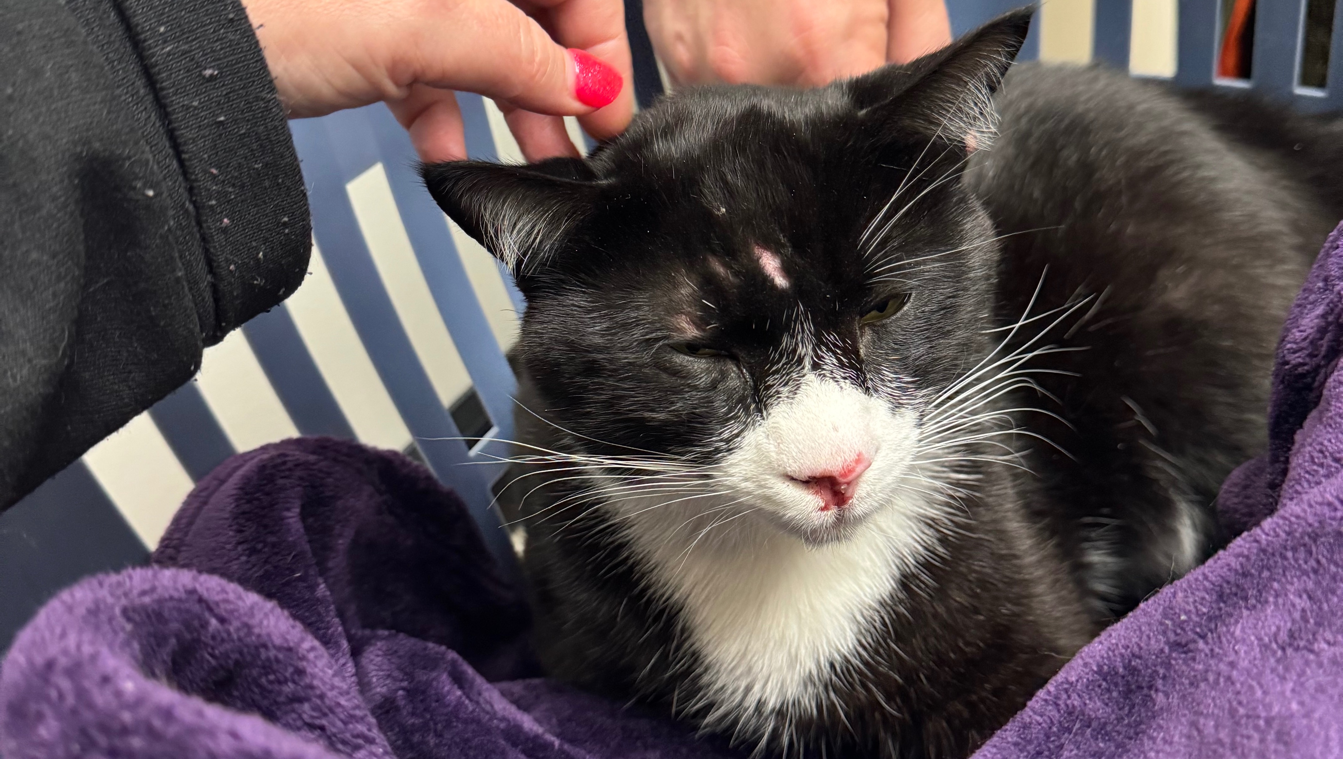 Fundraiser by Laura MacInnis : Love For Jax. Help Us Fund his ...