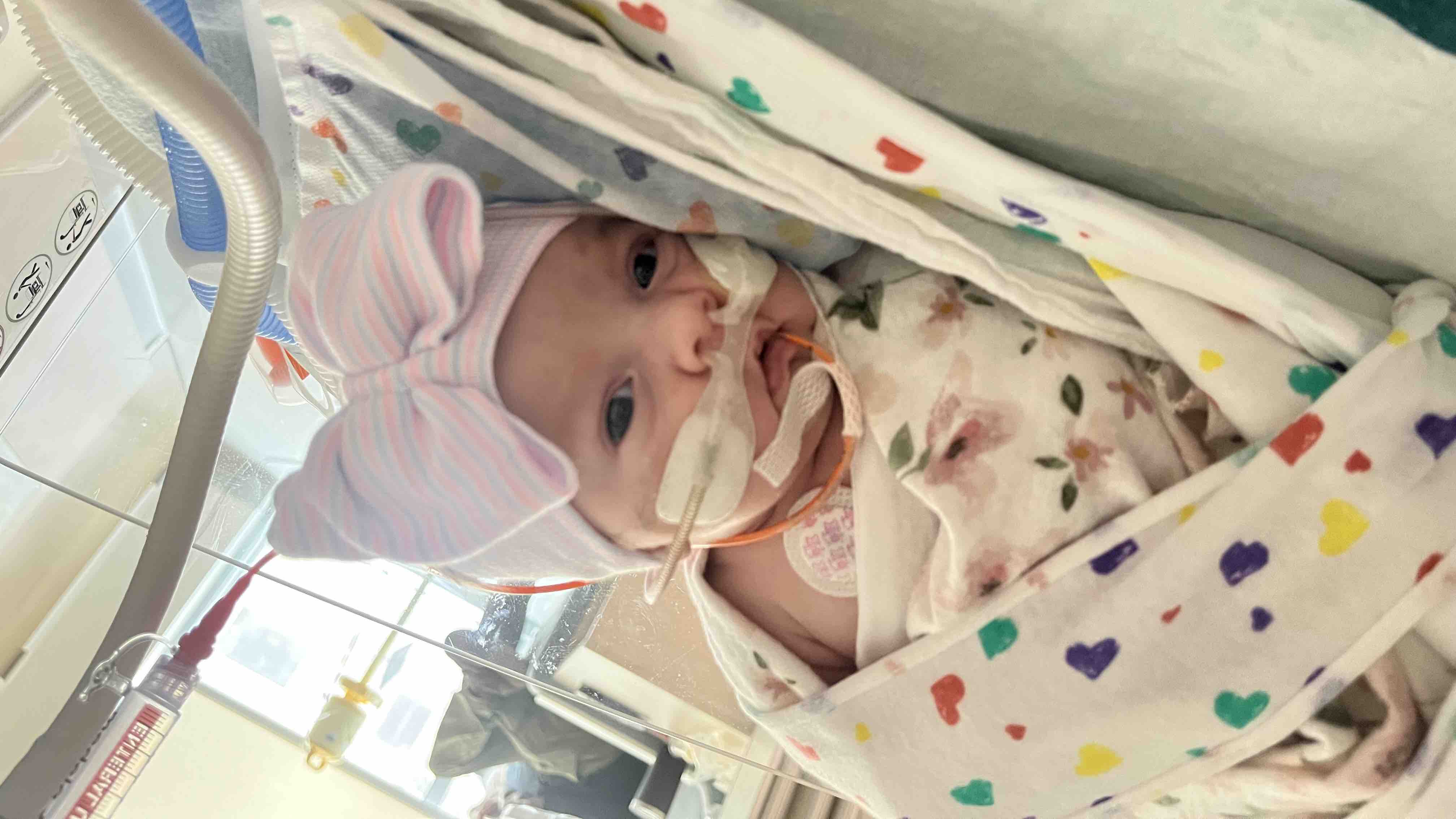 Fundraiser for Jamie Fort by Amanda Gruhn : Support Addison's NICU Journey