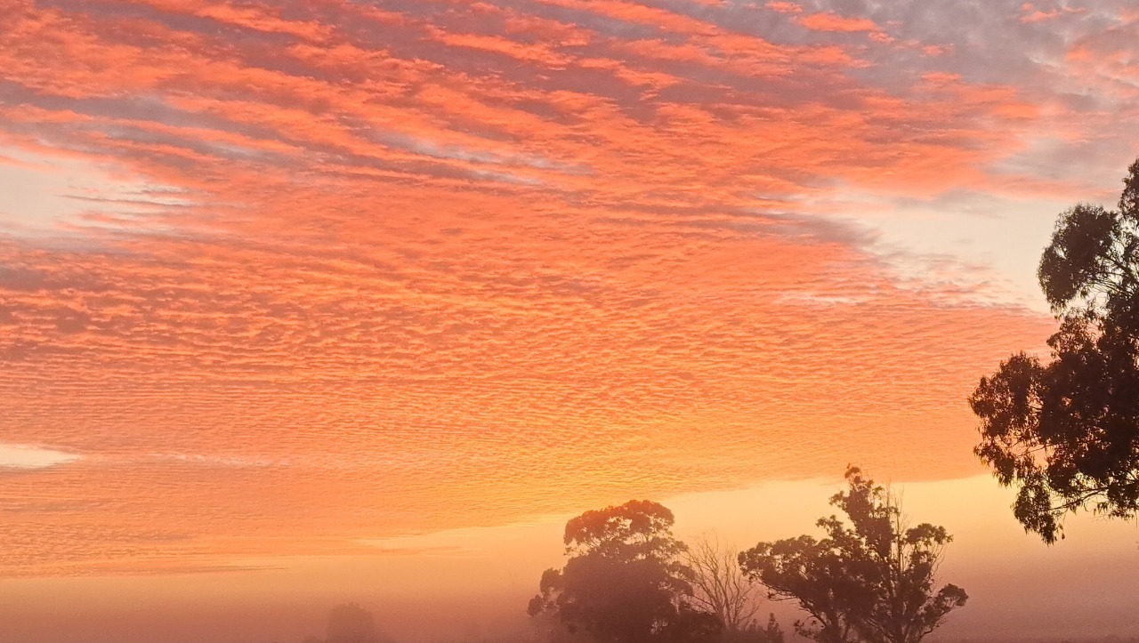 Fundraiser by Tim Pape : Rescue my children