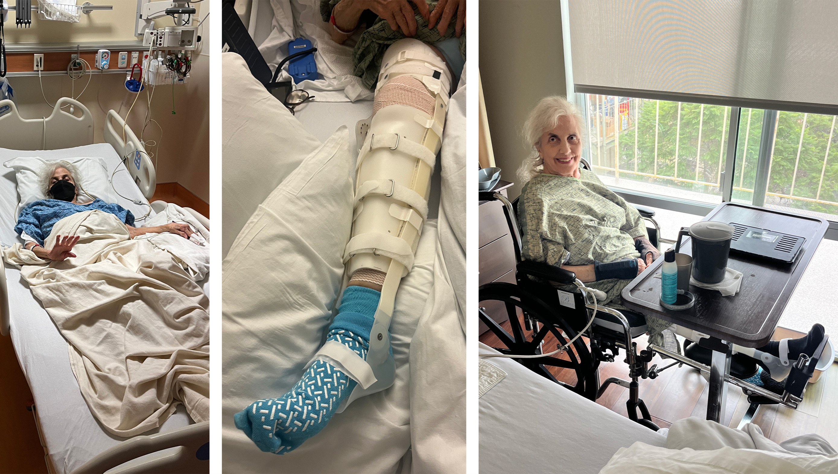 Fundraiser by Robert Boulware : Help Sylvia Recover from Her Fall