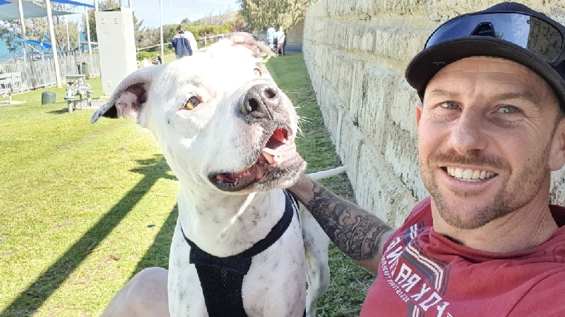 Fundraiser by Shayne Daniel : Sarges medical bills