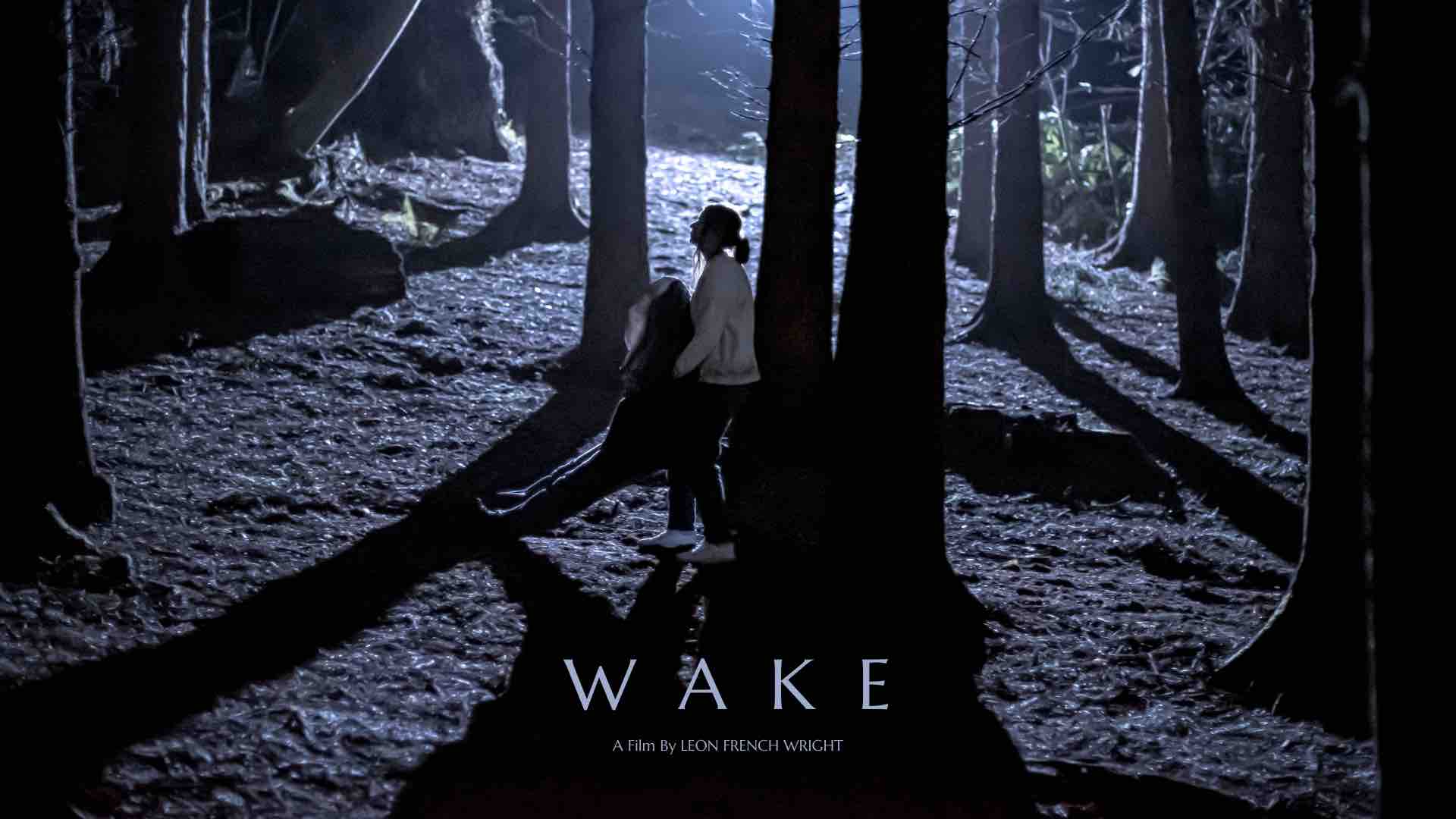 Fundraiser by Leon Wright : Short Film: WAKE