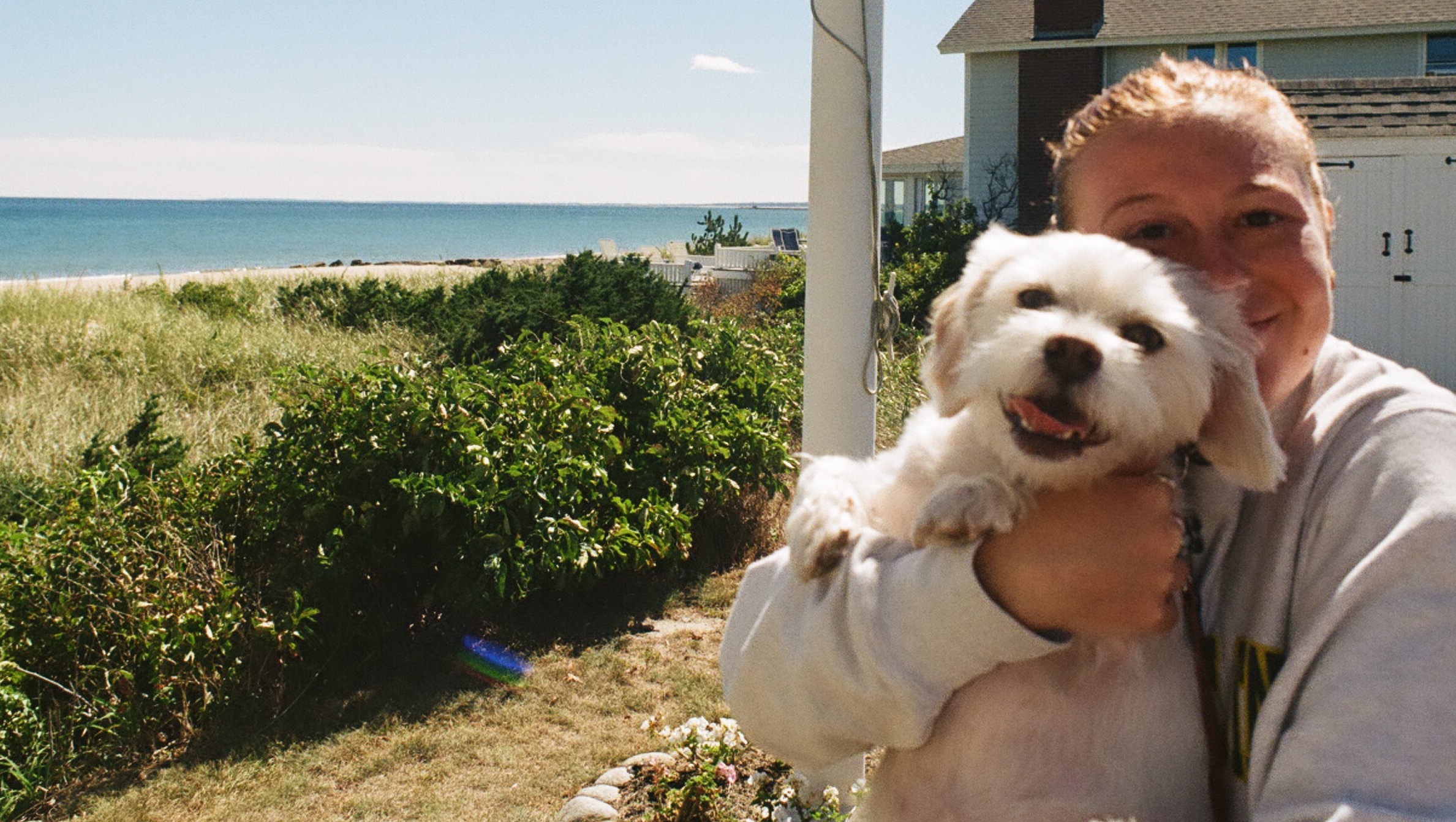 Fundraiser by courtney keery : Support Milo's Emergency Medical Care