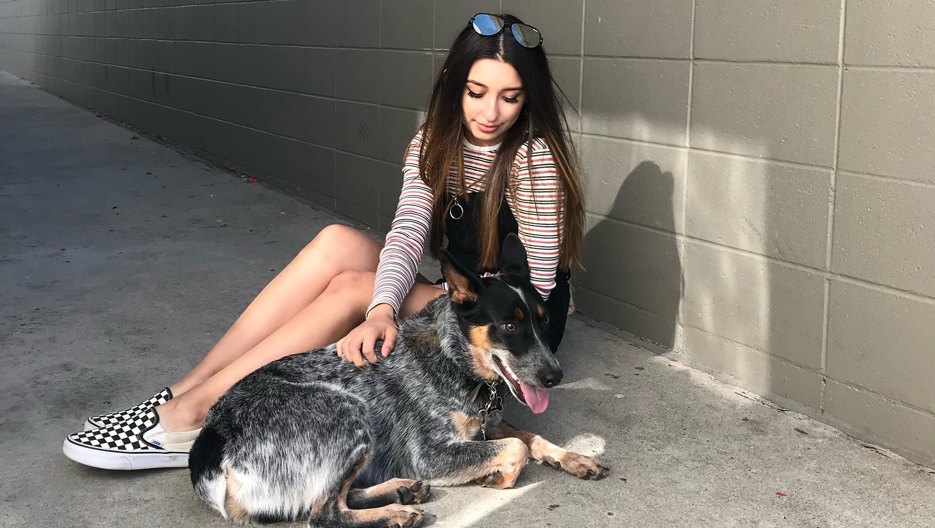 Fundraiser by Juan Barrero : Honoring Koa’s Memory: Help with Final Medical Expenses