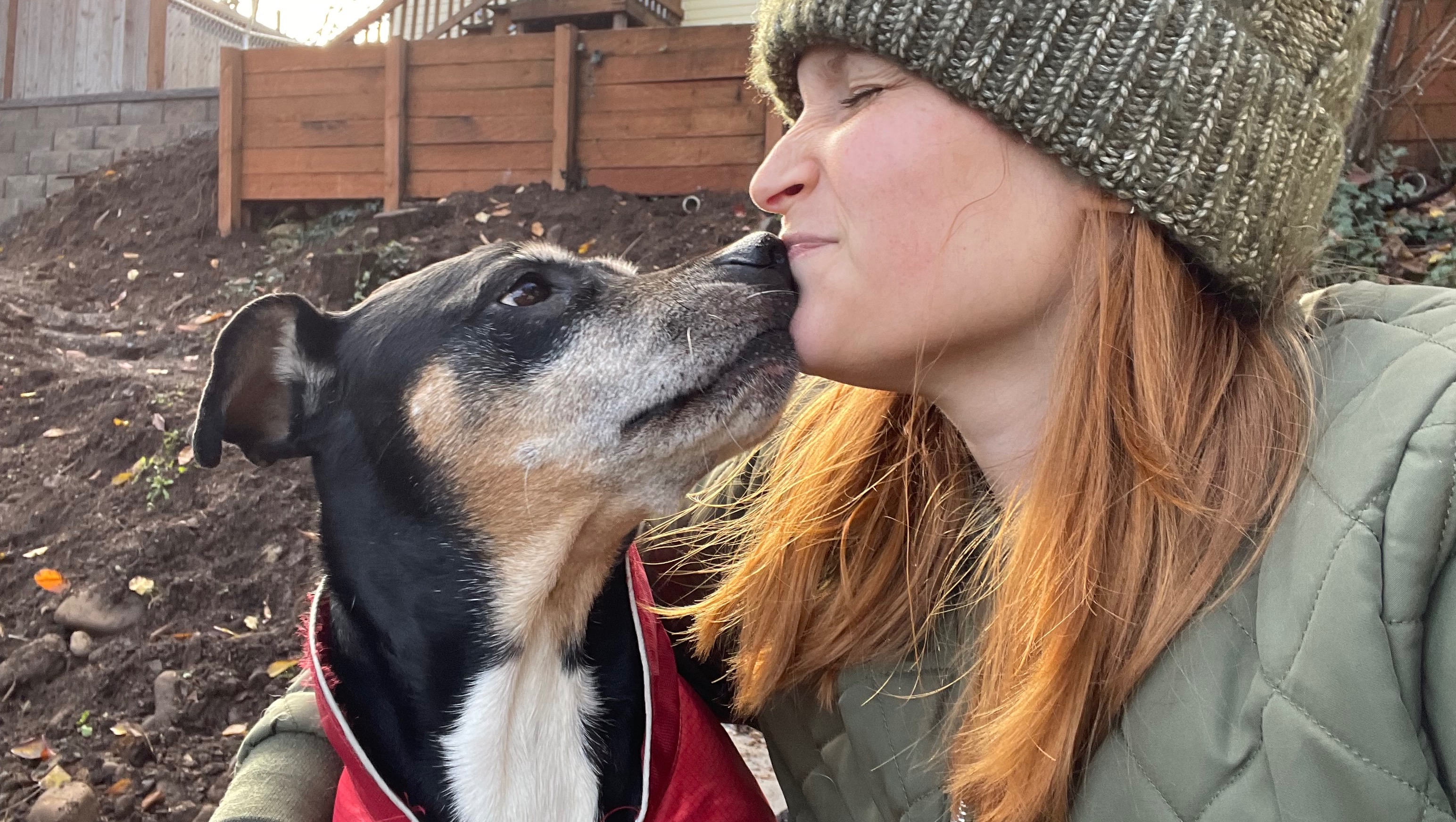 Fundraiser by Emma Heim : Support Luna's Liver Mass Removal