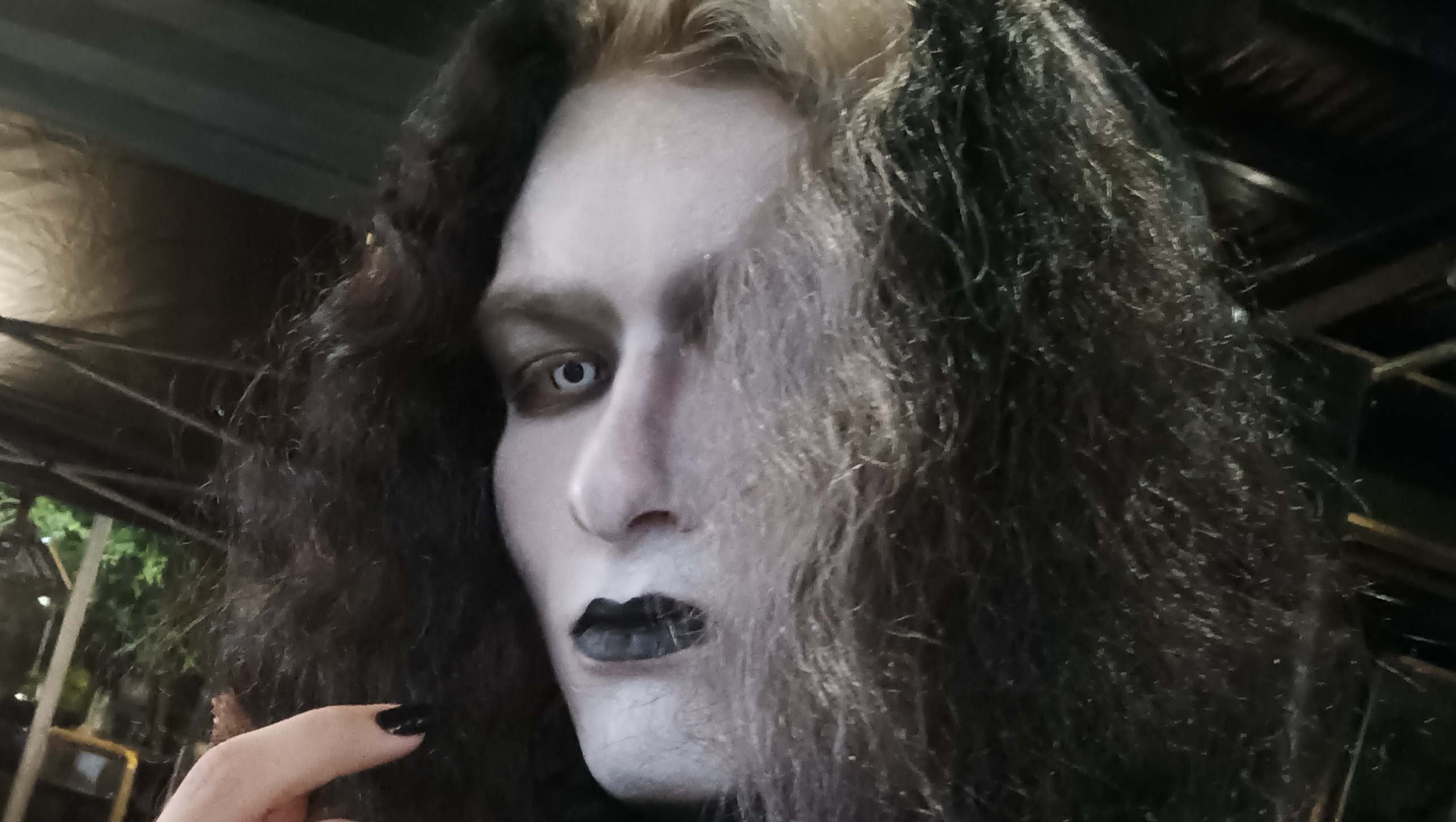 Fundraiser by Raven McCall : Support Raven's Journey to Safety