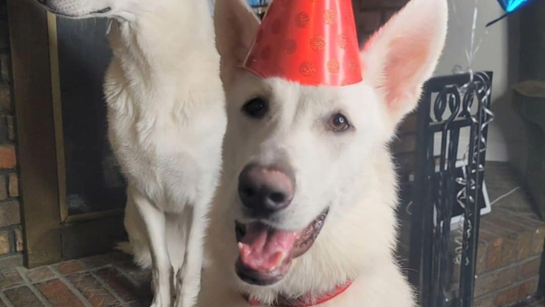 Fundraiser for Elizabeth Uputaua Adams by Punipuao Taase : Help! Sole ...