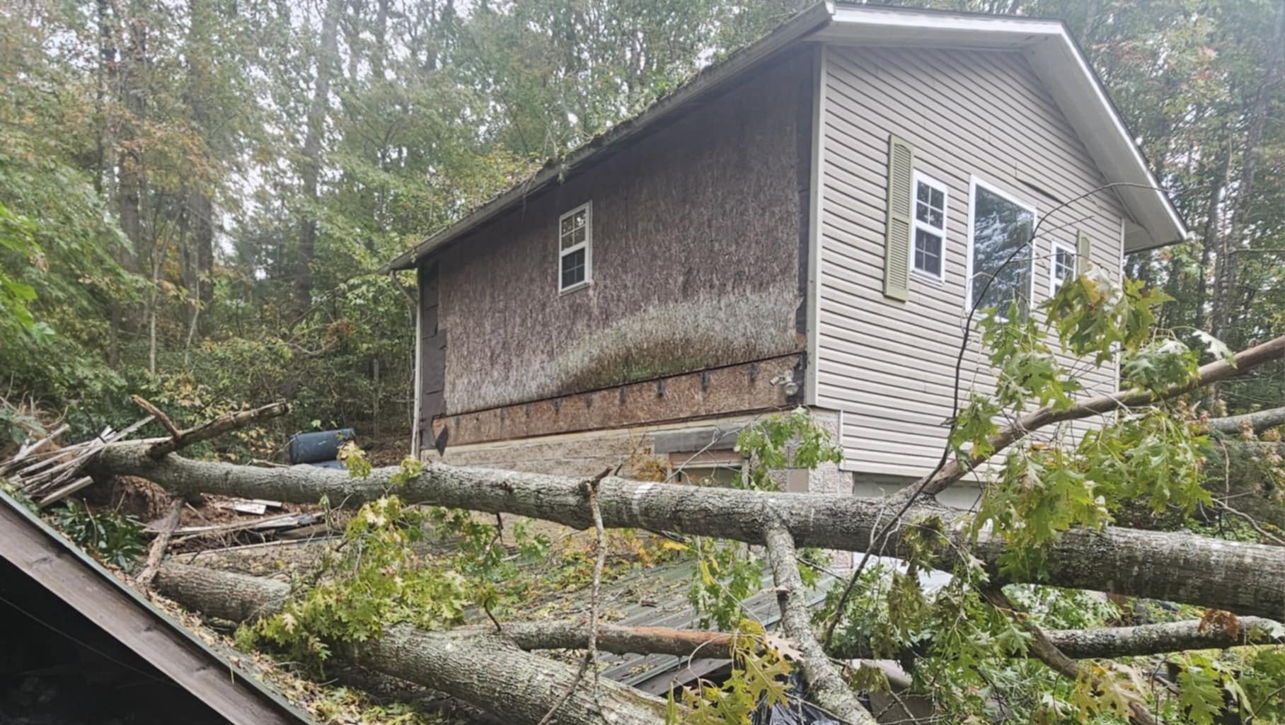 Fundraiser for Will Harman by Kelley OShea : Support my nephew - Will ...