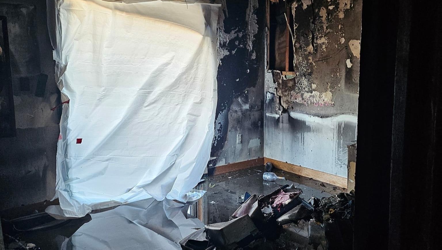 Fundraiser for Bridget Segurson by Aaron Wilmarth : Help Bridget and ...